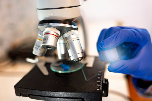 Gewebeproben richtig entnehmen: Ausstattung und Vorbereitung in der Praxis